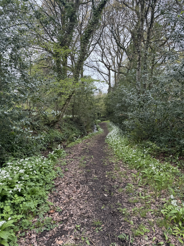 Counsellor Vicky Ritchens - Crediton - Counselling Directory