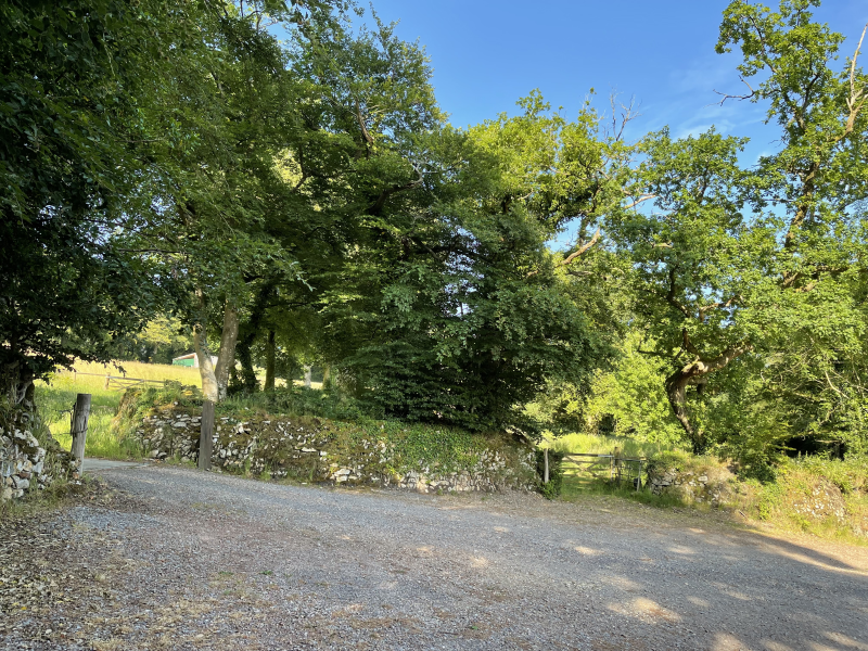 Counsellor Morag Le Page O'Neil - Wellington - Counselling Directory