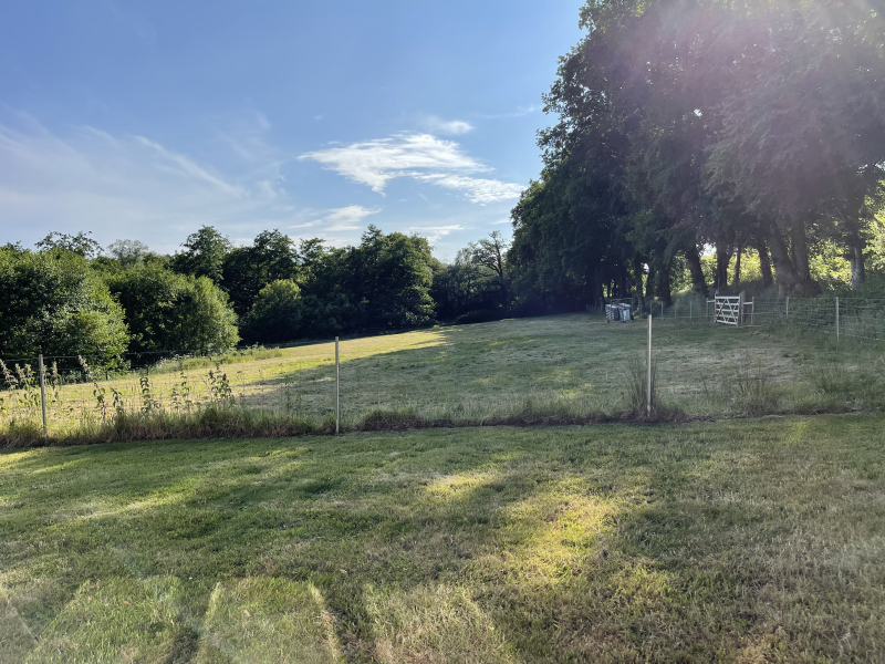 Counsellor Morag Le Page O'Neil - Wellington - Counselling Directory