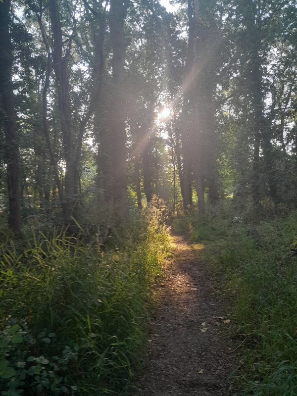 Counsellor Clare Eaves - Telford - Counselling Directory