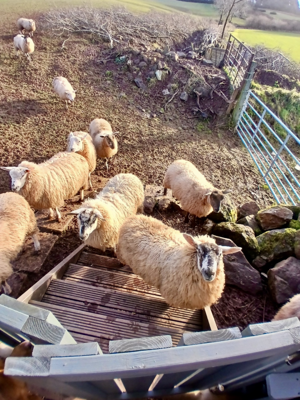 Therapist Kerry Webber - Teignmouth - Counselling Directory