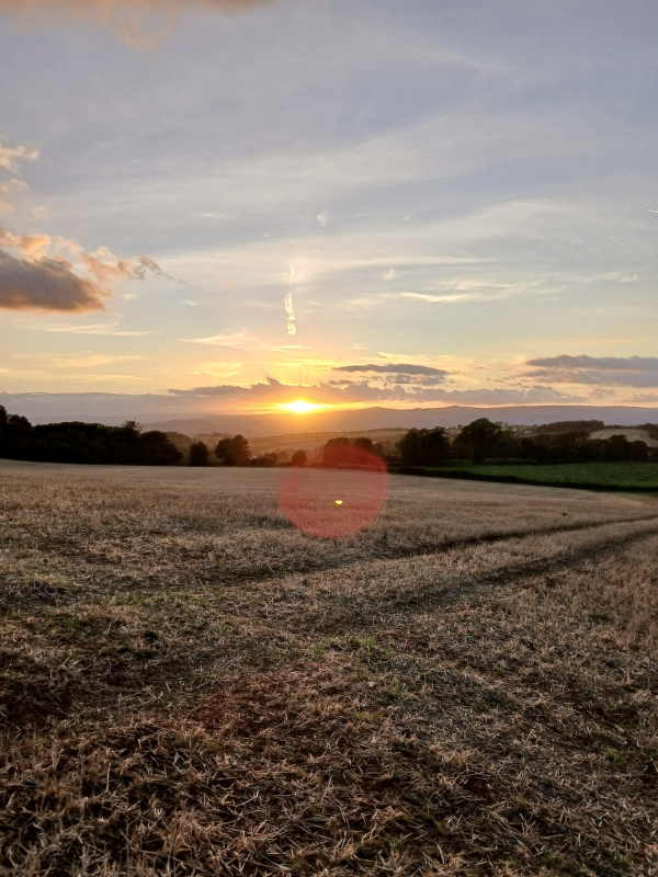 Therapist Kerry Webber - Teignmouth - Counselling Directory