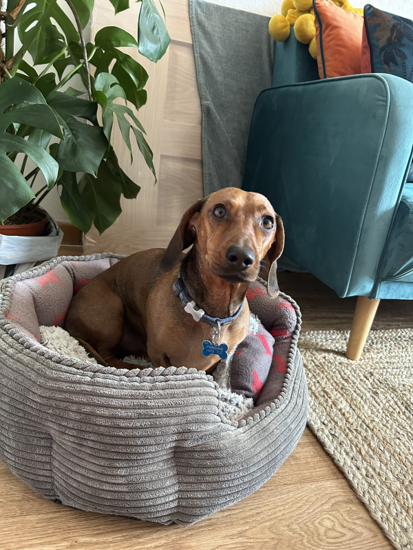 Psychotherapist Lisa Soda - Newnham & London - Counselling Directory