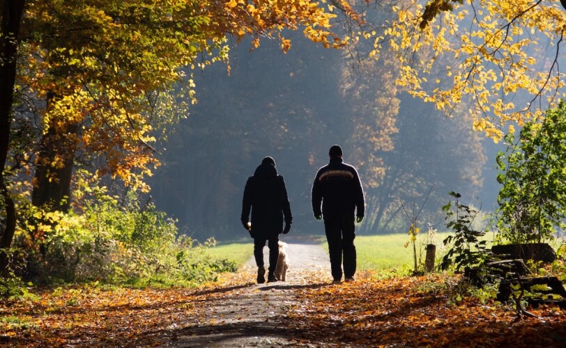 Walk and Talk Therapy | Outdoor Therapy - Counselling Directory Walk and Talk Therapy | Outdoor Therapy - Counselling Directory